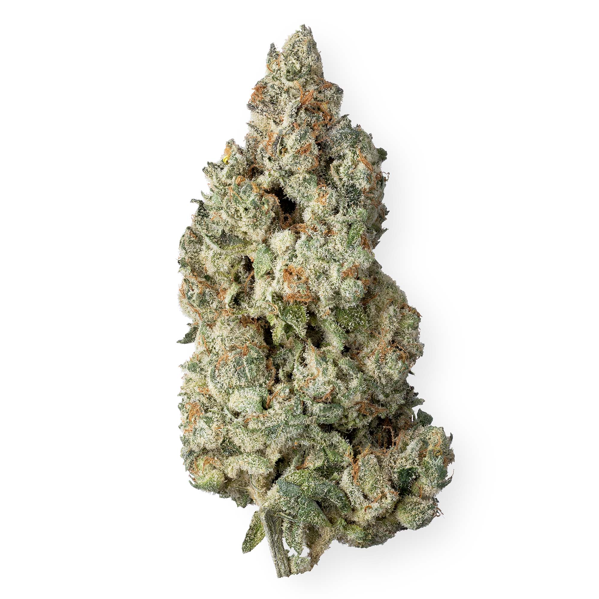 Hush: Slapz – Indica (AAAA) | MMJDirect.club